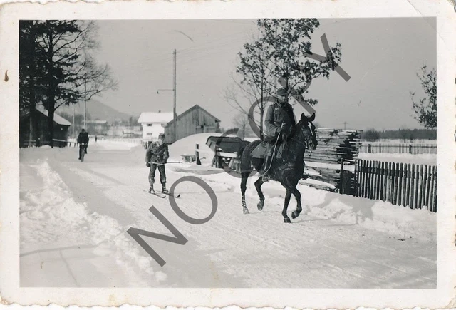 FOTO WK2 GEBIRGSJÄGER wird von Pferd gezogen X75 EUR 34,90 - PicClick DE