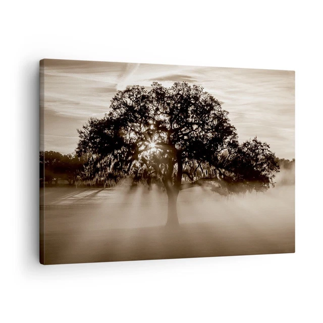 IMPRESSION SUR TOILE 70x50cm Tableaux Image Photo arbre champ nature ...