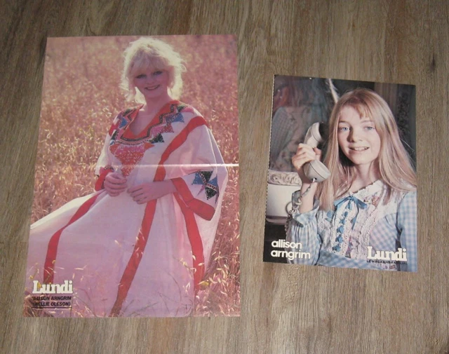 ALISON ARNGRIM ORIGINAL magazine PIN UP mini POSTER one-page PHOTOS ...