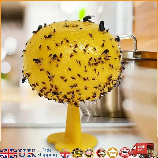 FRUIT FLY TRAP Killer Fruit Fly Mosquito Trap Solid Flies Catcher for ...