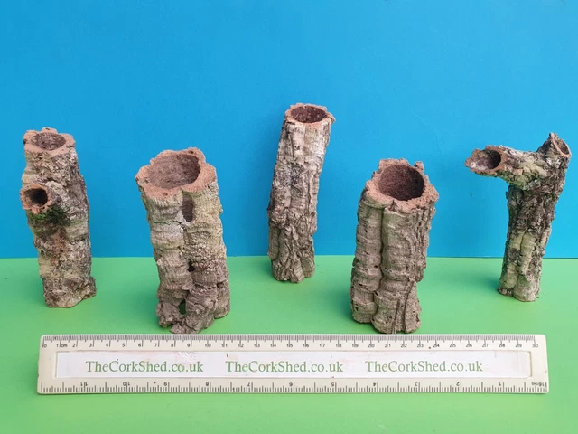 5 X CORK Bark Tubes Spiderling Tarantula Sling Spider Gecko Lizard ...