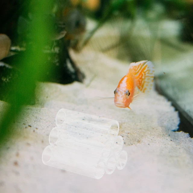 BETTA FISH TANK Accessories Aquarium Breeding Cave Floating Feeder $18. ...