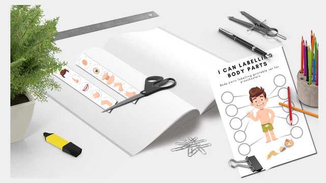 HUMAN BODY ACTIVITY Body Parts Fun Educational Preschool Learning ...