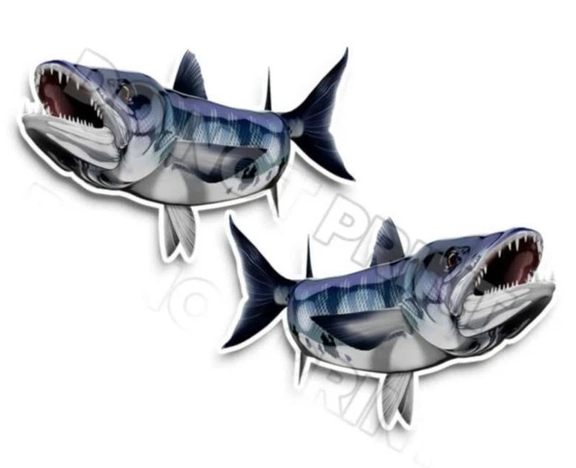 RV DECALS BARRACUDA Fish Stickers 24" Boat Graphics Fishing Sticker #2 ...