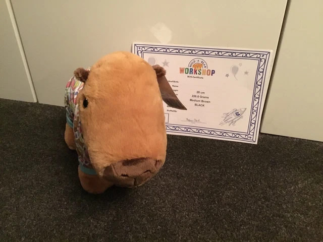 BUILD A BEAR Capybara With Sleeper And Certificate Bnwt New With Tags £ ...