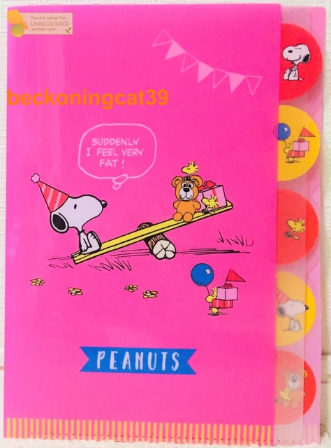 LAST SUN-STAR VINTAGE Peanuts A4 Size File Folder 5 Pockets Snoopy MADE ...