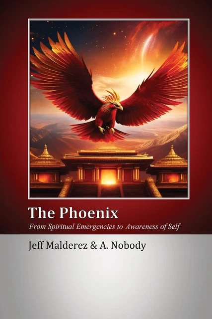 JEFF MALDEREZ A Nobody A. Nobody The Phoenix (Poche) EUR 33,58 ...
