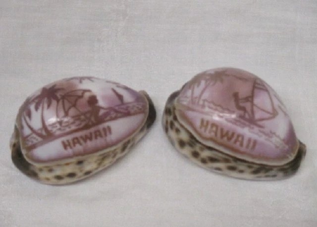 VINTAGE HAWAII CARVED Cowrie Shell Souvenirs scrimshaw ~ pair (2) $34. ...