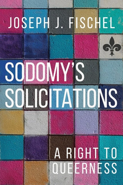 SODOMY'S SOLICITATIONS: A Right to Queerness by Joseph J. Fischel ...