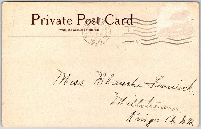 1905 THE WHOLE Dam Family Funny Faces Comic Card Posted Postcard $11.49 ...