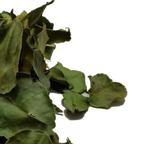 LIME LEAVE (KAFFIR) Tea High Quality Loose Leaves Tea Grade Herbal Cut ...