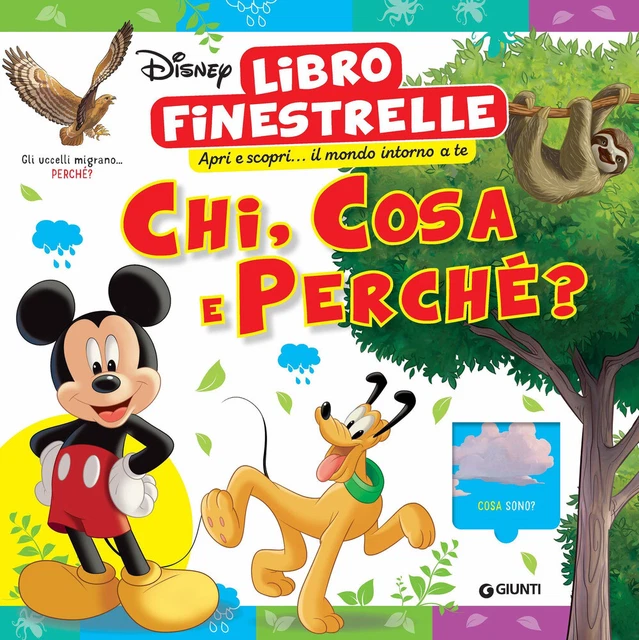 6689874 3331344 LIBRI Chi, Cosa E Perche? Disney. Libro Finestrelle ...