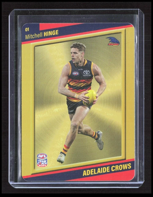 AFL 2024 TEAMCOACH Gold Adelaide Crows Mitchell Hinge 01 Football CB-2 ...