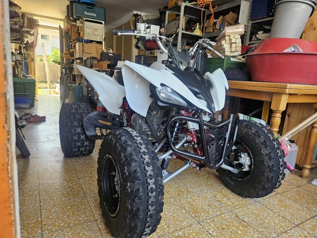 QUAD YAMAHA 250 Raptor EUR 155,00 - PicClick FR