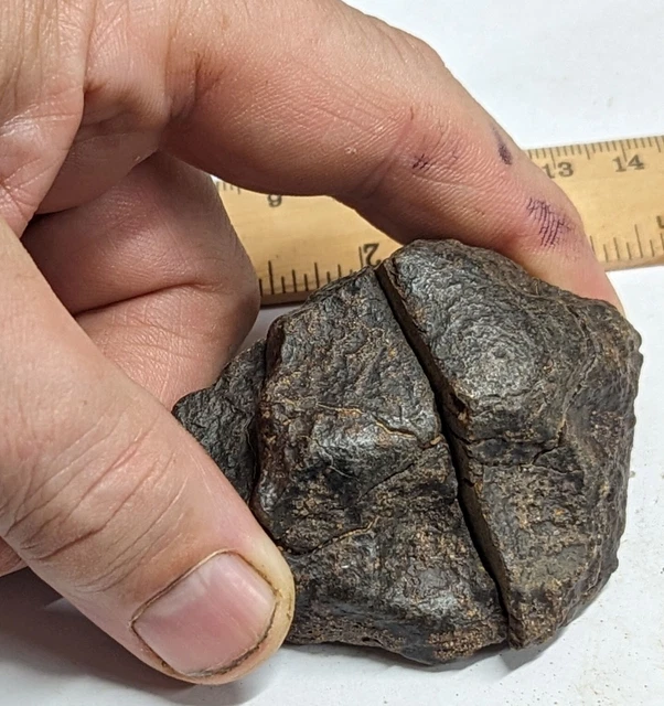 152 GRAM UNCLASSIFIED NWA METEORITE Cut in three pieces (#F5908) $88.88 ...