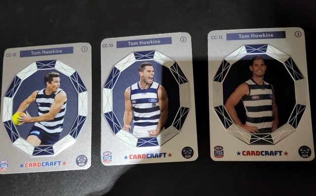 2023 AFL TEAMCOACH Card Craft Player Set Geelong Tom Hawkins CC-13 $10. ...