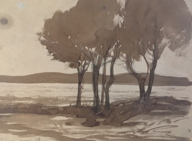 TRÈS BEAU Dessin Encre Lavis Paul Baudier Signé Paysage Arbre 1928 Rare ...