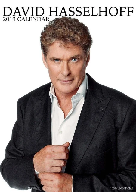 DAVID HASSELHOFF CALENDAR 2019 The Hoff Large Uk Wall A3 Size New ...