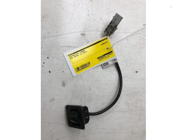 P17676438 TELECAMERA DI retromarcia Opel Astra K (B16) 13473347 EUR 99 ...