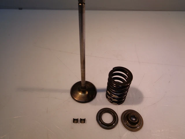 BMW R1150R INLET valve c/w spring/washers & collets BMW Pt Nr ...