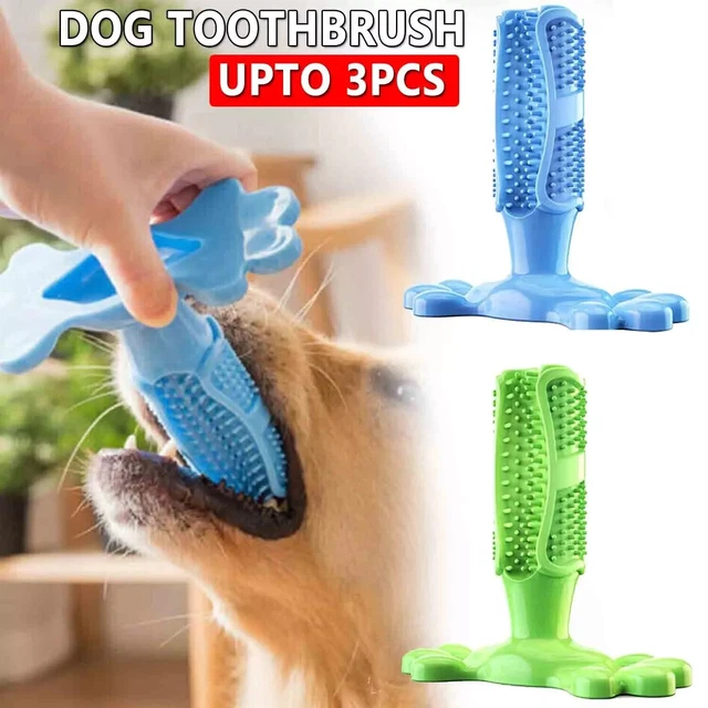 DOG TOOTHBRUSH CHEW Toy Teeth Cleaning Brushing Stick Pet Dental ...