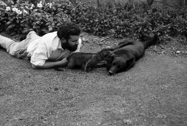 TELEVISION ZOOLOGIST GRAHAME Dangerfield Circa 1963 Old Photo 8 EUR 6 ...