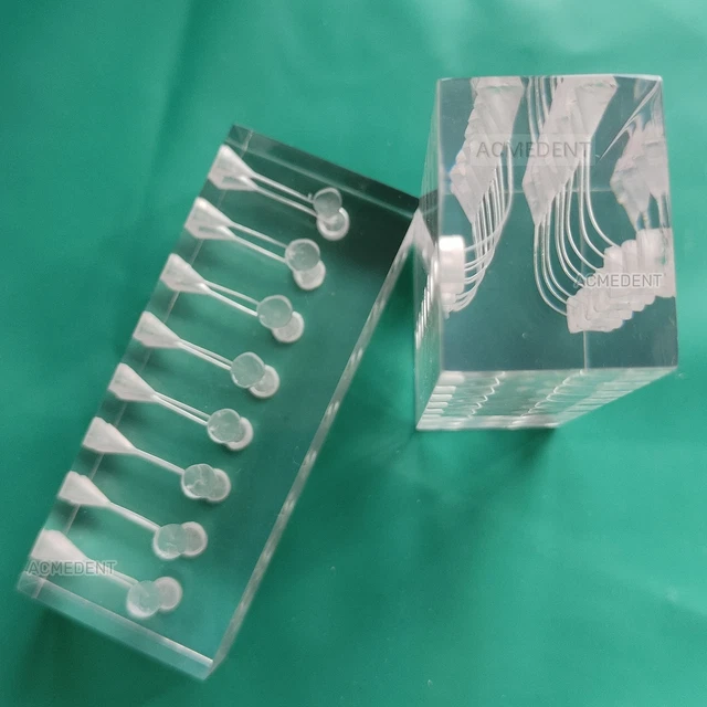 DENTAL MODEL ENDO Niti Files X-Pro Gold Taper Vortex File Ultrasonic ...