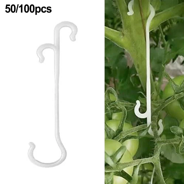 LONG LASTING TOMATO Support J Hooks Reusable and Reliable 13CM 50/100Pcs £8.89 - PicClick UK