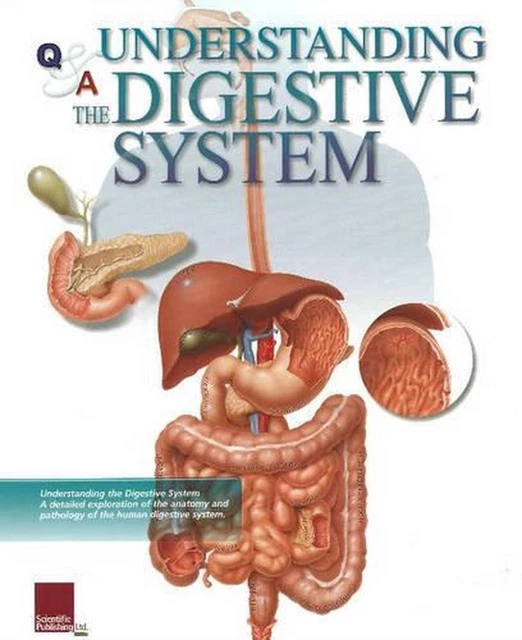 UNDERSTANDING THE DIGESTIVE System Flip Chart: Flip Chart Book by ...