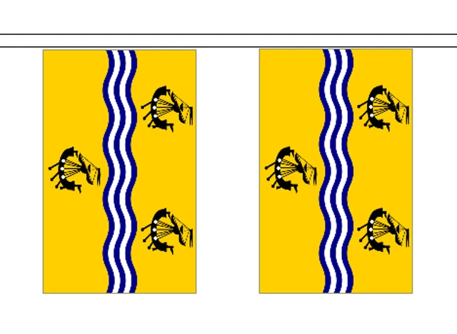 SCOTLAND COUNTY CITY Council Flag Polyester Bunting - Premium Quality £ ...