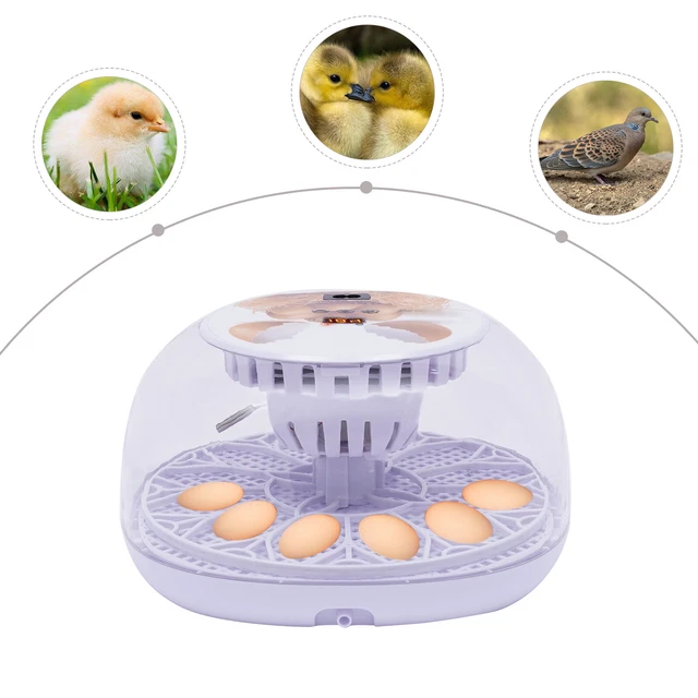 12-EGG INCUBATOR AUTOMATIC Turning Digital Hatching Machine Chicken ...