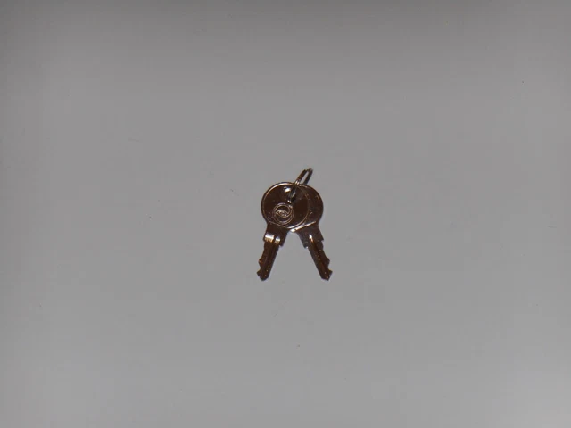 FIRE-LITE NOTIFIER FIRE Alarm Panel FACP Pull Station Factory OEM Key ...