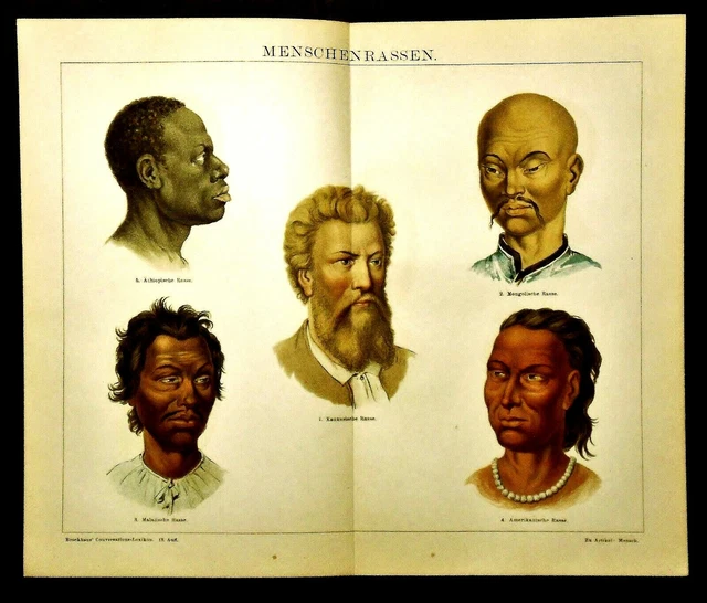 1894 OLD PRINT:RAZZE UMANE - MENSCHENRASSEN.Brockhaus.Cromolitografia ...