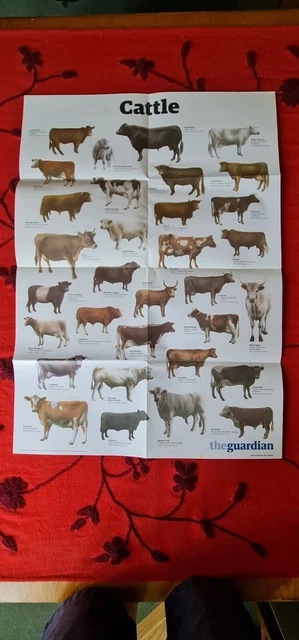 THE GUARDIAN WALLCHART wall chart poster Farming A1 Pigs and Goats £5. ...