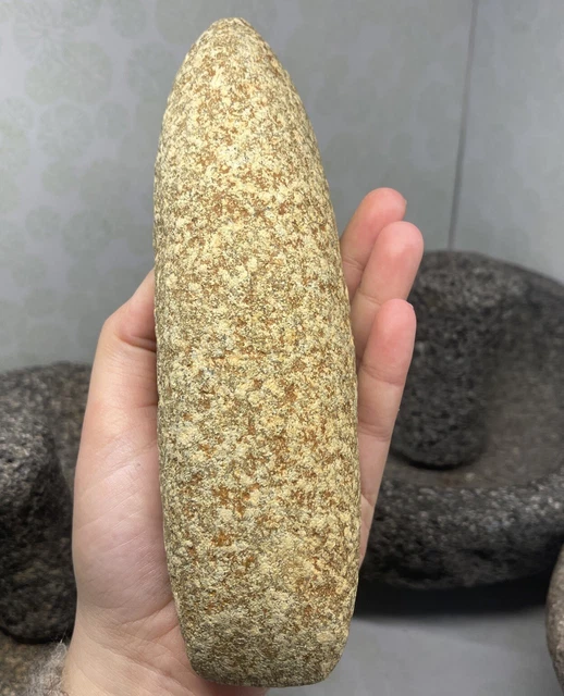 MLC S1806 7 1/4” Big Neolithic Hardstone Celt Sahara Desert Africa Old ...