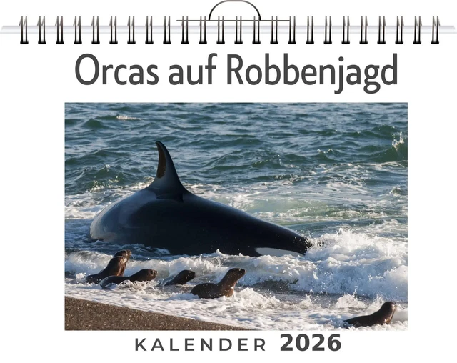 ORCAS AUF ROBBENJAGD Eva Krause Kalender Deutsch 2026 FlipFlop EAN ...