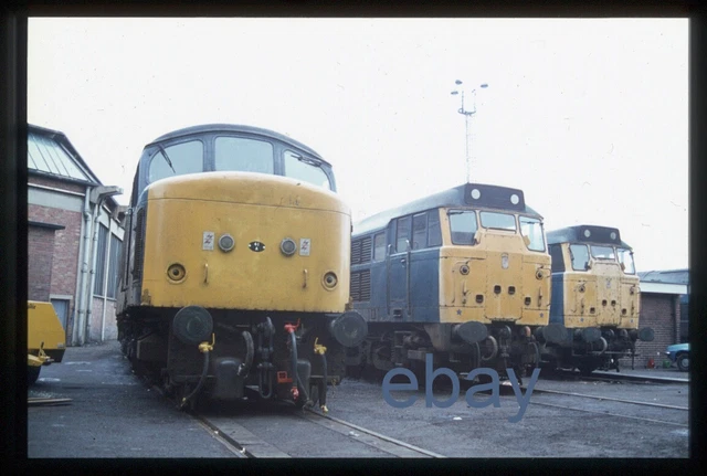 ORIGINAL 35MM slide-Class 45/0-45013, 31303 & 31297 on shed at Thornaby ...