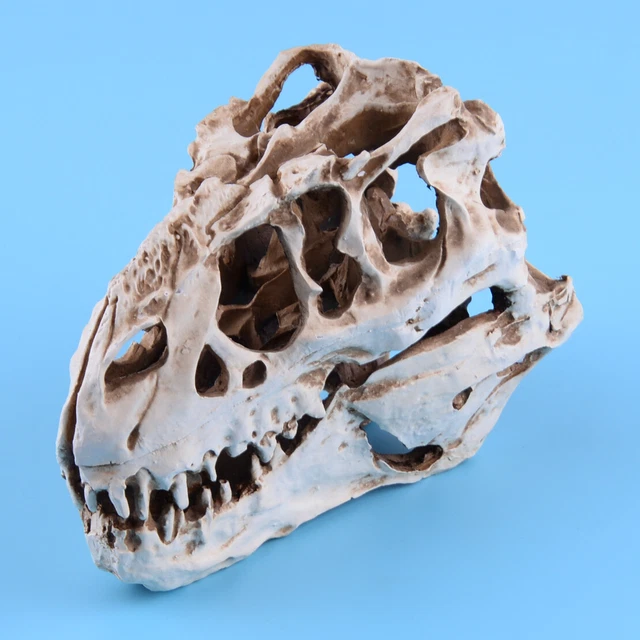 TYRANNOSAURUS T-REX DINOSAUR Resin Fossil Skull Model Collectibles ...
