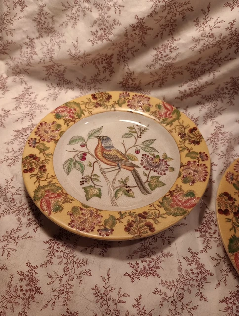 WILLIAM LOWE 1895 Chinese Bird Plates. Robin And Magpie (?). Decorative ...