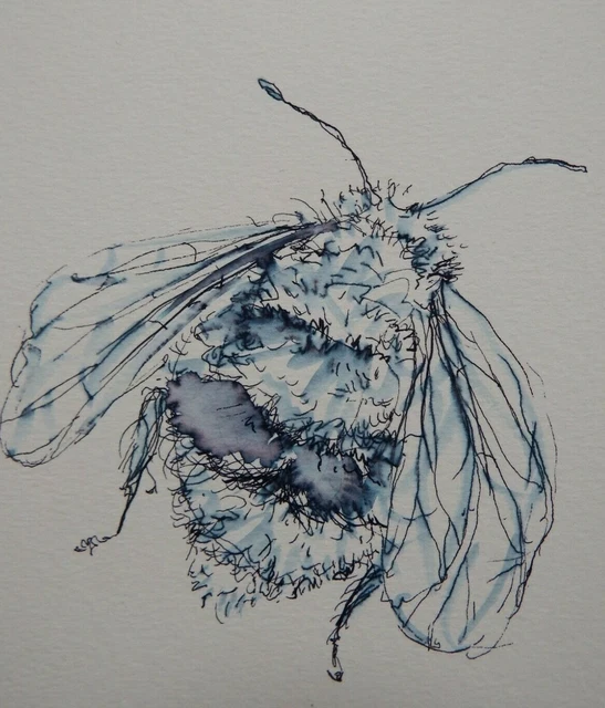 ORIGINAL PEN & ink sketch illustration drawing of a bee on Watercolour ...