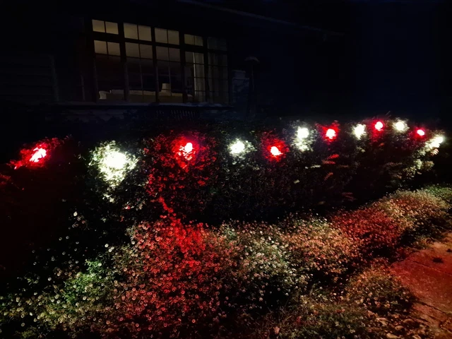 RGB+WW 12 LED bulb Light Wifi Smartphone Festoon String Garden Outdoor ...