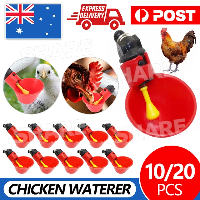 10X/20X AUTOMATIC CUPS Water Feeder Drinker Chicken Waterer Poultry ...