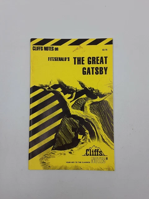 VINTAGE CLIFFS NOTES on FITZGERALD'S THE GREAT GATSBY Good condition ...