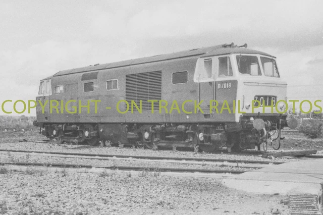 UK RAILWAY PHOTOGRAPH Of Class 35 Hymek D7018. Rm35-69 £1.70 - PicClick UK