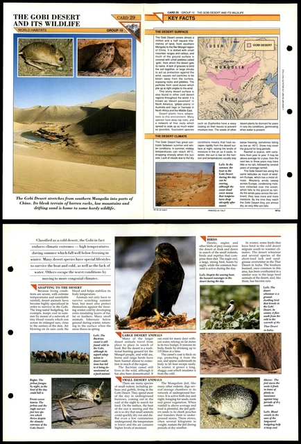 THE GOBI DESERT #29 World Habitats Wildlife Fact File Fold-Out Card £1. ...
