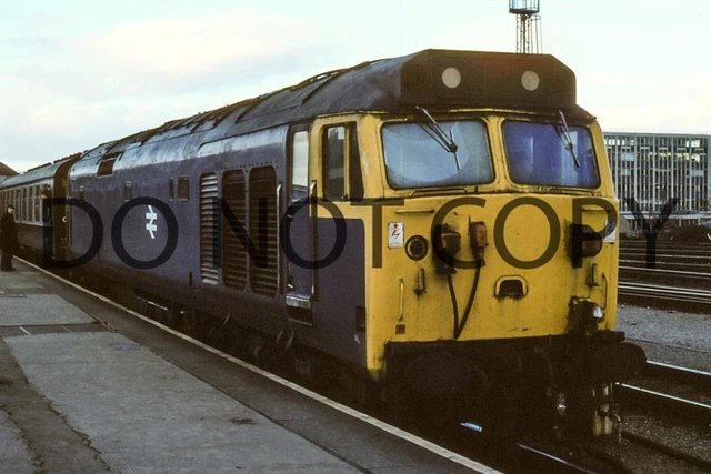 UK DIESEL TRAIN Railway Photograph Of Class 50 50024 Loco. Rm50-151 £1. ...