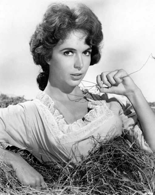 MARLA LANDI HAMMER Films 10" x 8" Photo no 1 £4.00 - PicClick UK