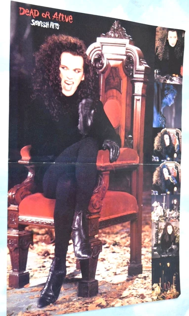 DEAD OR ALIVE band A3 glossy ORIGINAL magazine promo ART poster EUR 5 ...