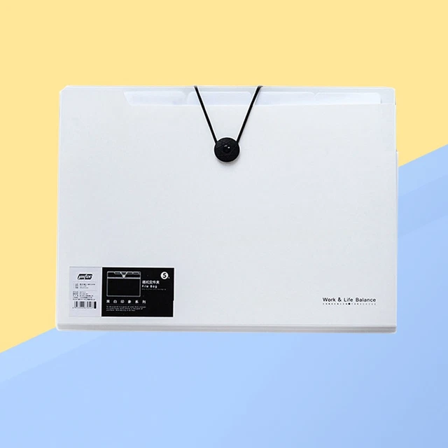 PLASTIC BUCKLE FOLDER Expanding File Organizer Document Orginizing $29. ...