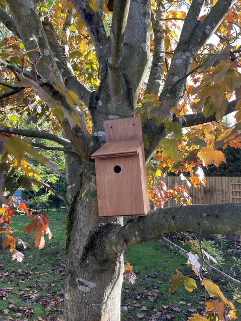 BESPOKE HANDMADE RSPB Bird Box With Drainage Functionality £19.99 ...